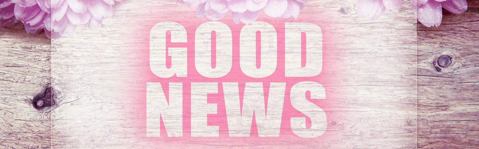 News & Events | Joyce Logan Productions